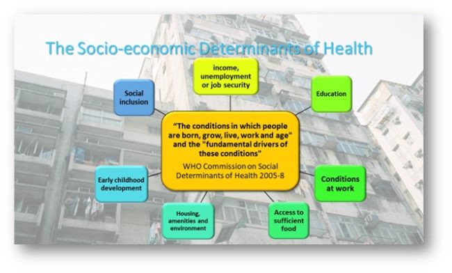 Socioeconomic Determinants of Health - British Society of Lifestyle ...