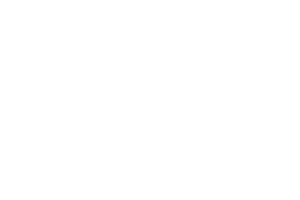 BSLM - Transforming Healthcare Through Lifestyle Medicine